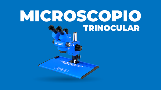 FORWARD MACHINE FACTORY MEXICO – FORWARD Machine Factory Mexico